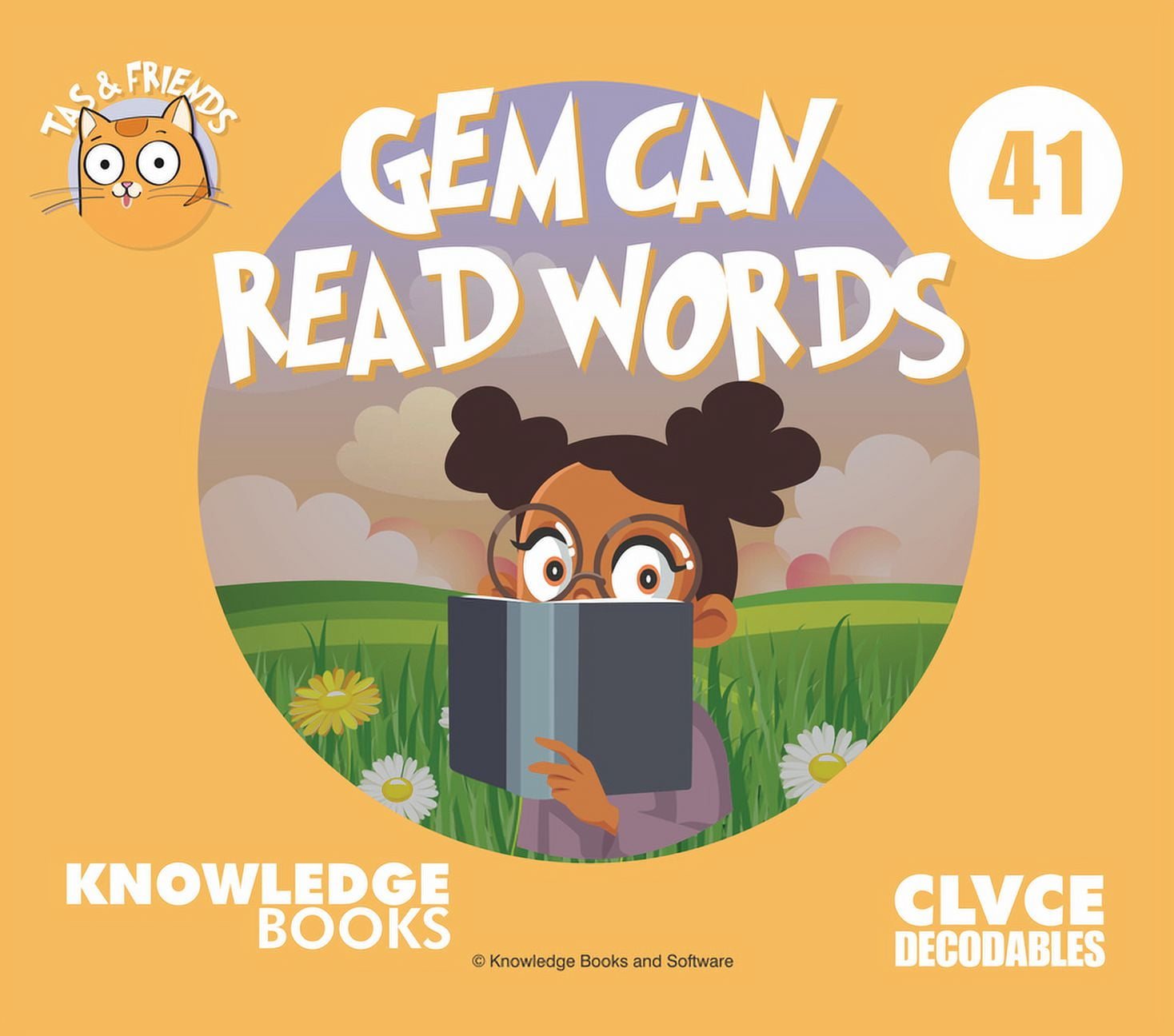 Tas and Friends: Gem Can Read Words: Book 41 (Paperback) - Walmart ...