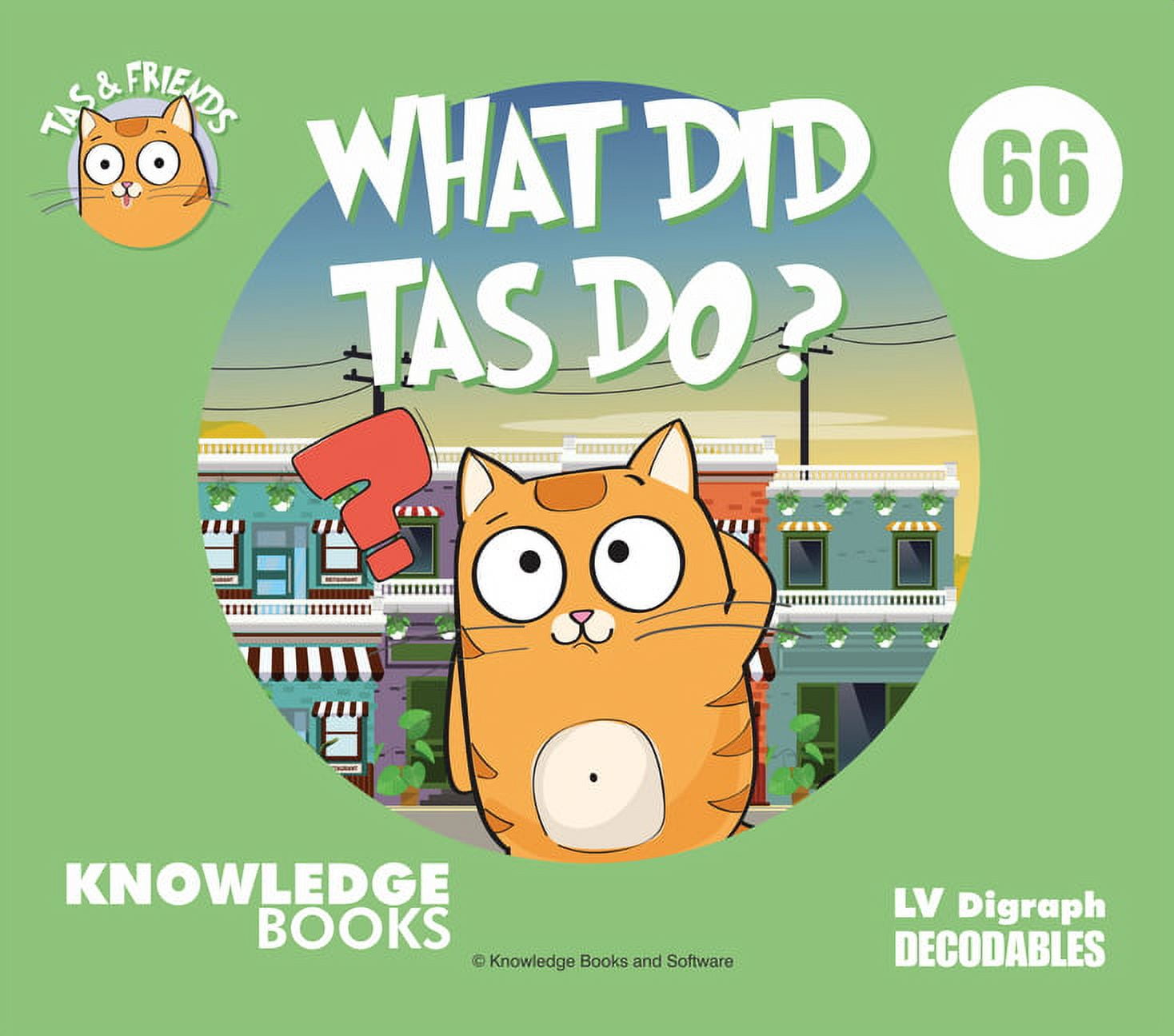 Tas and Friends: What Did Tas Do?: Book 66 (Paperback) - Walmart.com
