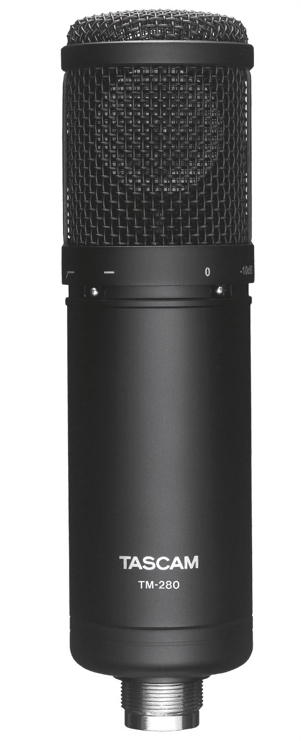 Tascam TM-280 Studio Microphone with Flight Case - Walmart.com