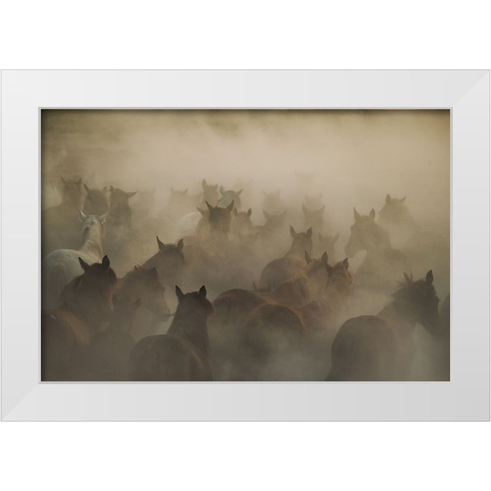 Taskin, Huseyin 24x17 White Modern Wood Framed Museum Art Print Titled - In Dust - Walmart.com