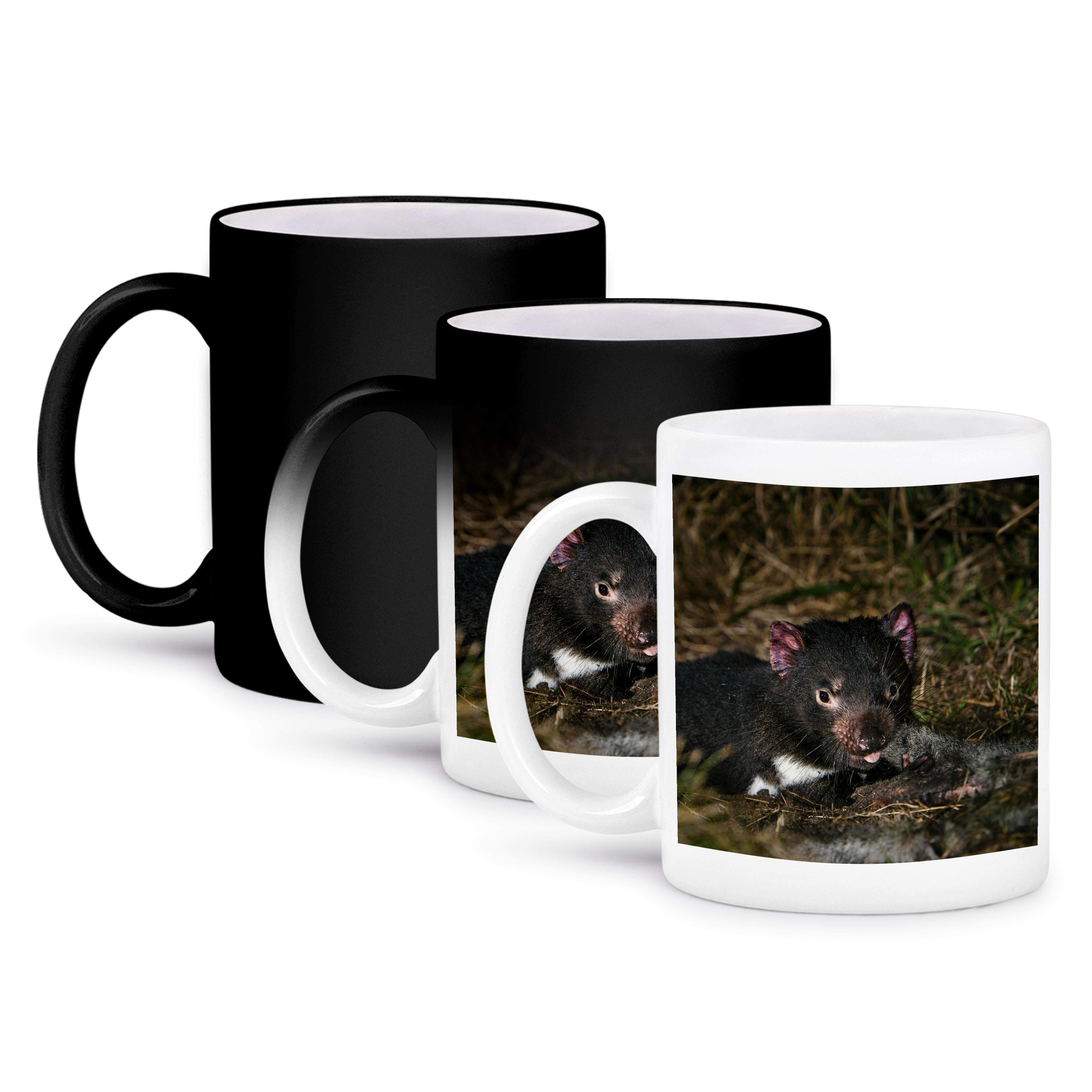 3dRose, Tasmanian Devil wildlife eating carrion, Tasmania - AU01 ...