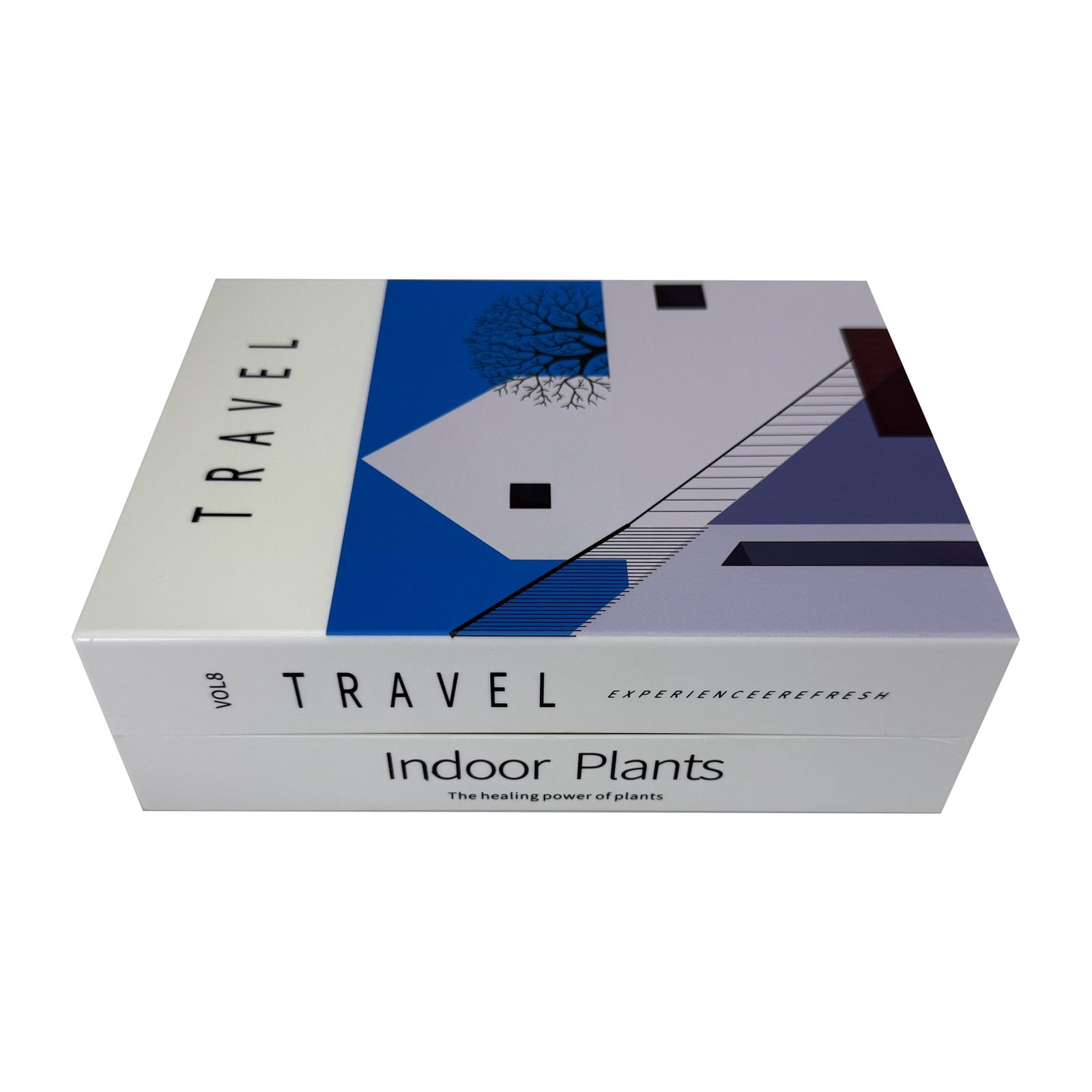 TastePick Book Cord Organizer, Fake Book Shaped Cords Organizer Hider ...