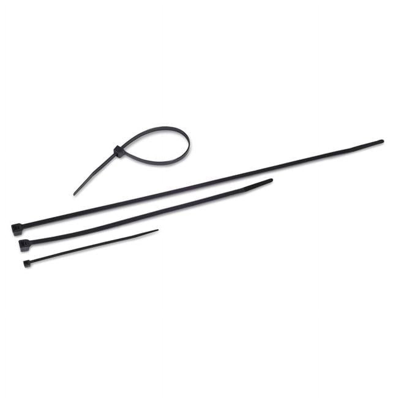 Tatco TCO22700 Tamper-proof Cable Ties, Loop Tensile & Nylon - Black ...
