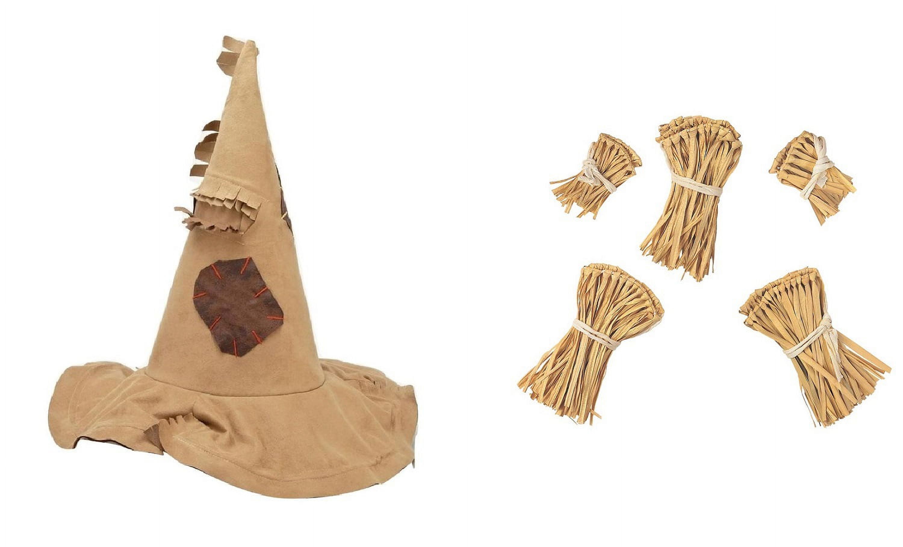 Tattered Scarecrow Pointed Hat and Straw Kit Accessory Kit - Walmart.com