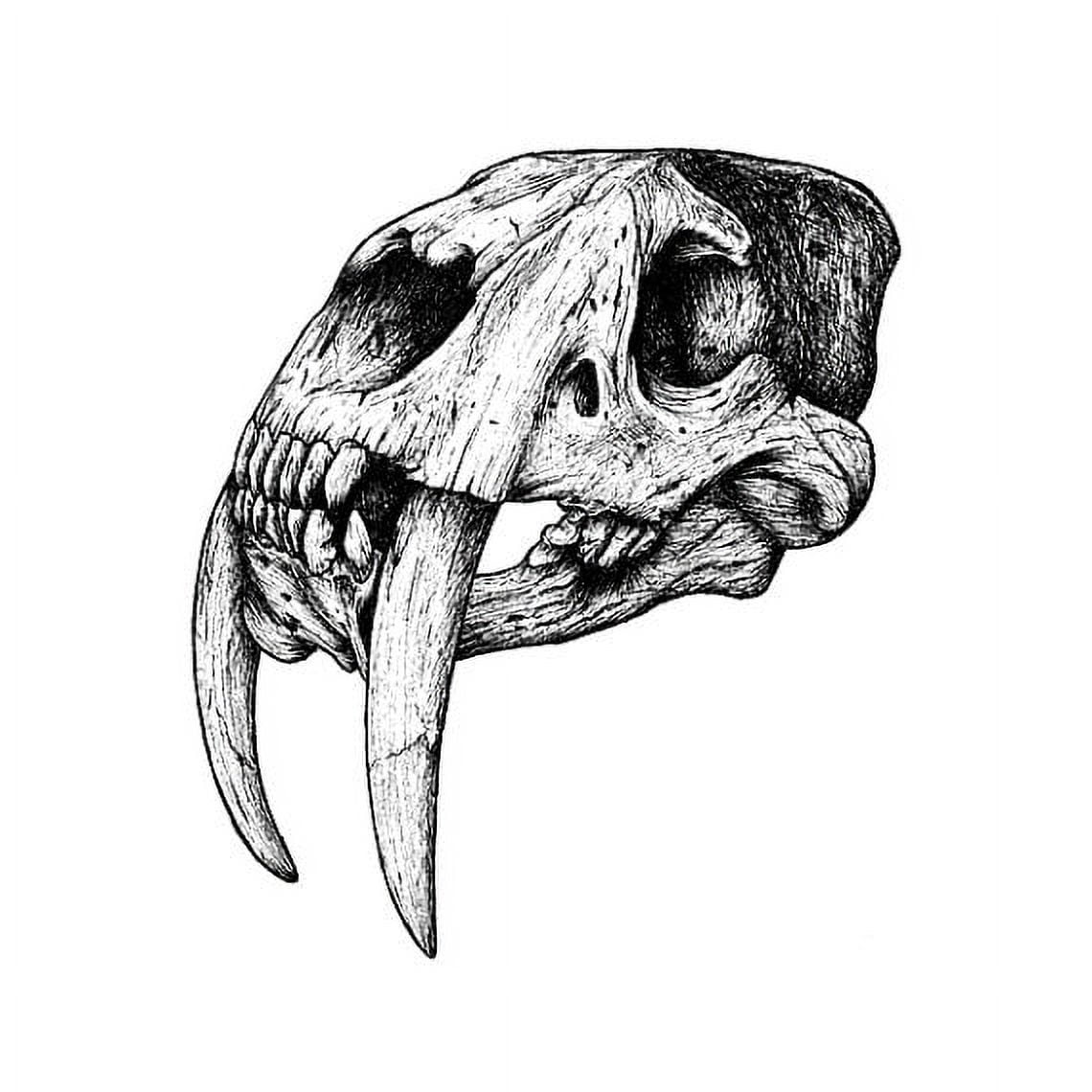 Saber Tooth Tiger Skull Tattoo