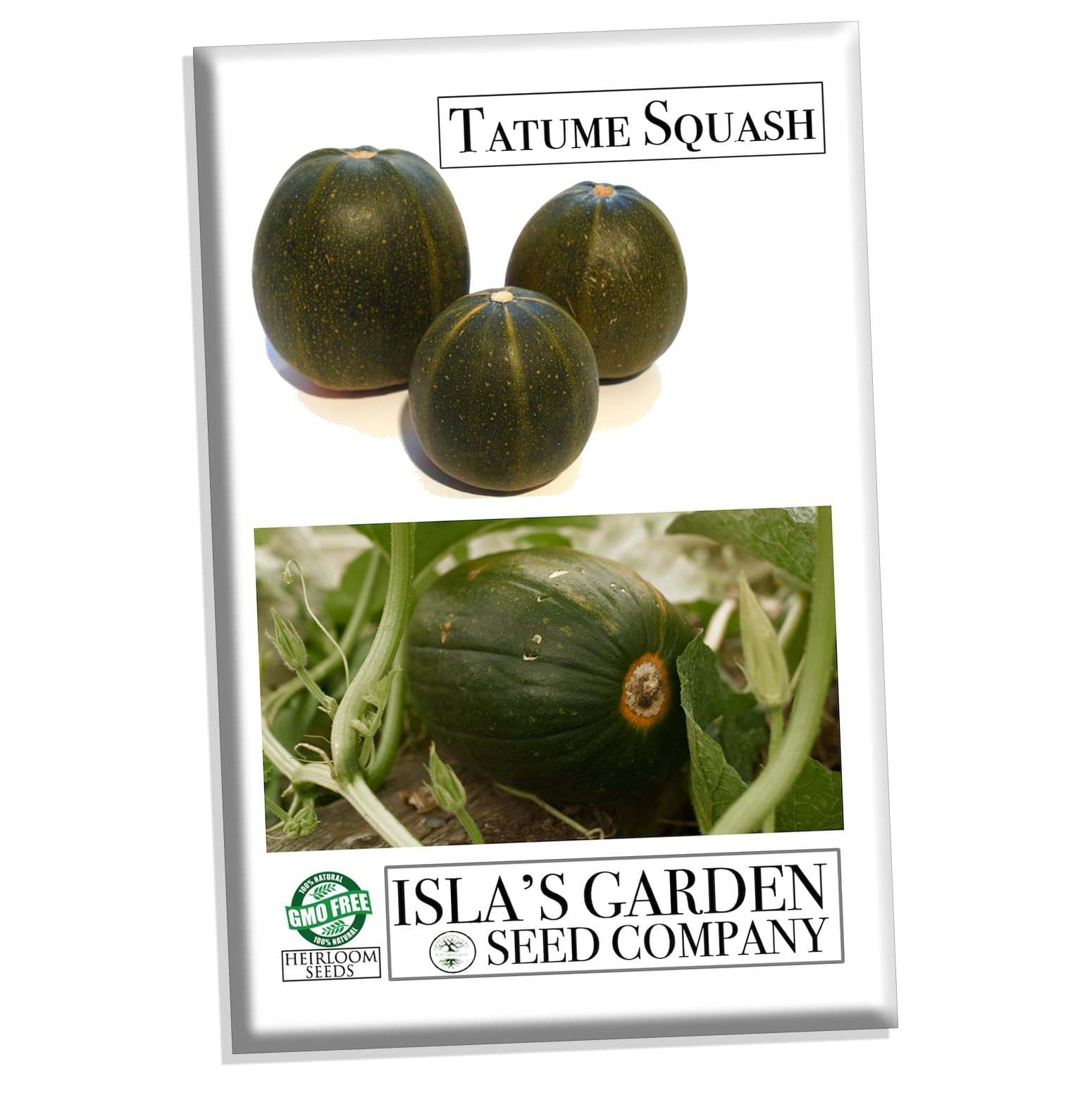 Tatume Squash Seeds for Planting, 30+ Heirloom MHD1Seeds Per Packet ...