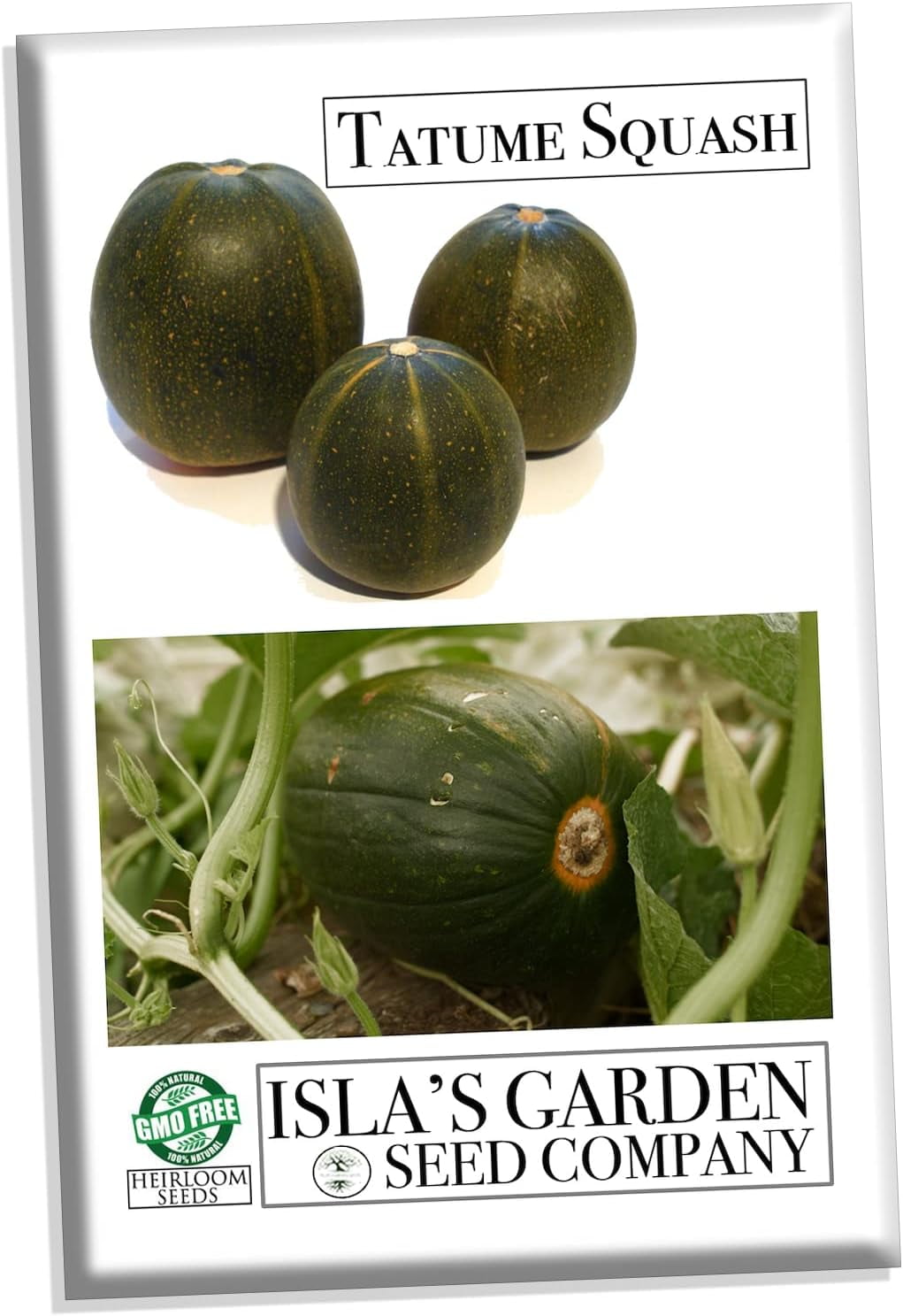 Tatume Squash Seeds for Planting, 30+ Heirloom Seeds Per Packet Non GMO ...