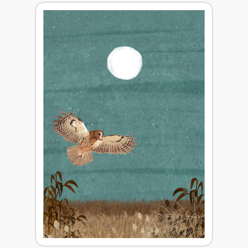 Tawny Owl Sticker Phone Decal Water Bottle Stickers Car Decals, Laptop ...