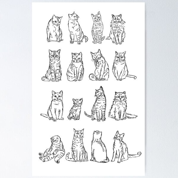 Taxonomy Of Cat Breeds Poster Wall Art, Modern Wall Decor For Living ...