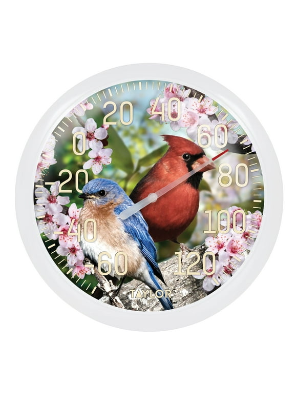 Outdoor Thermometers - Walmart.com