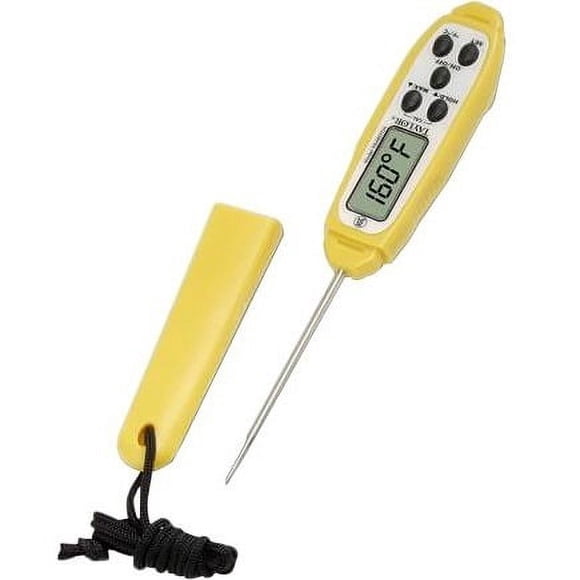 Digital Water Thermometer