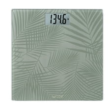 Analog Scale