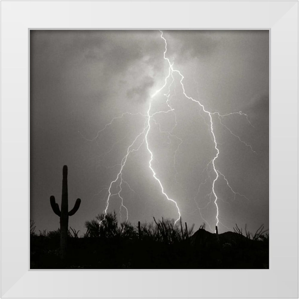 Taylor, Douglas 12x12 White Modern Wood Framed Museum Art Print Titled - Electric Desert III ...