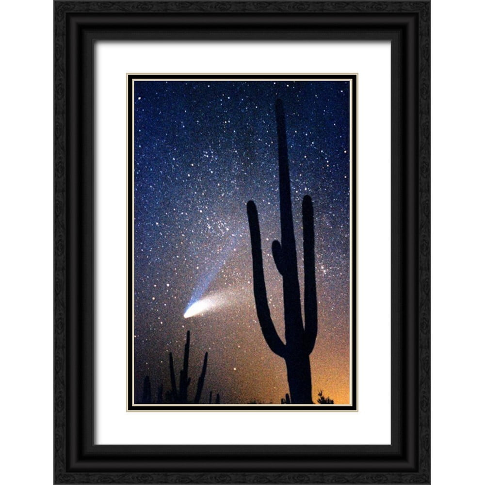 Taylor, Douglas 13x18 Black Ornate Wood Framed with Double Matting ...