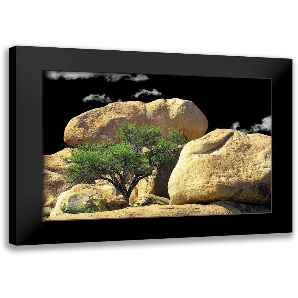 Taylor, Douglas 14x11 Black Modern Framed Museum Art Print Titled ...