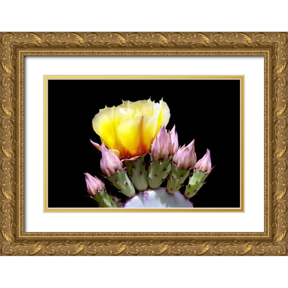 Taylor, Douglas 14x11 Gold Ornate Wood Framed with Double Matting ...