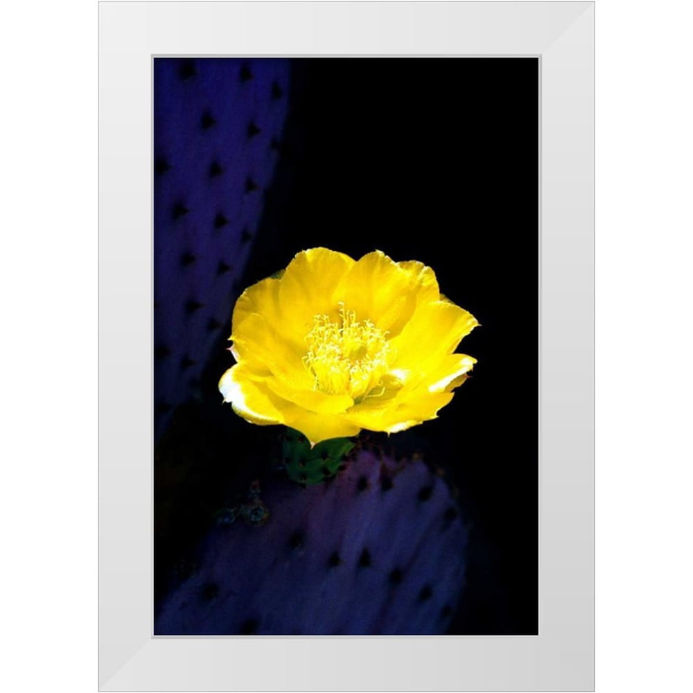 Taylor, Douglas 17x24 White Modern Wood Framed Museum Art Print Titled ...