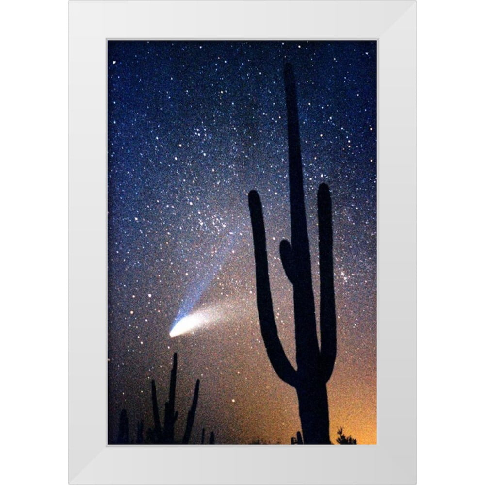 Taylor, Douglas 23x32 White Modern Wood Framed Museum Art Print Titled ...