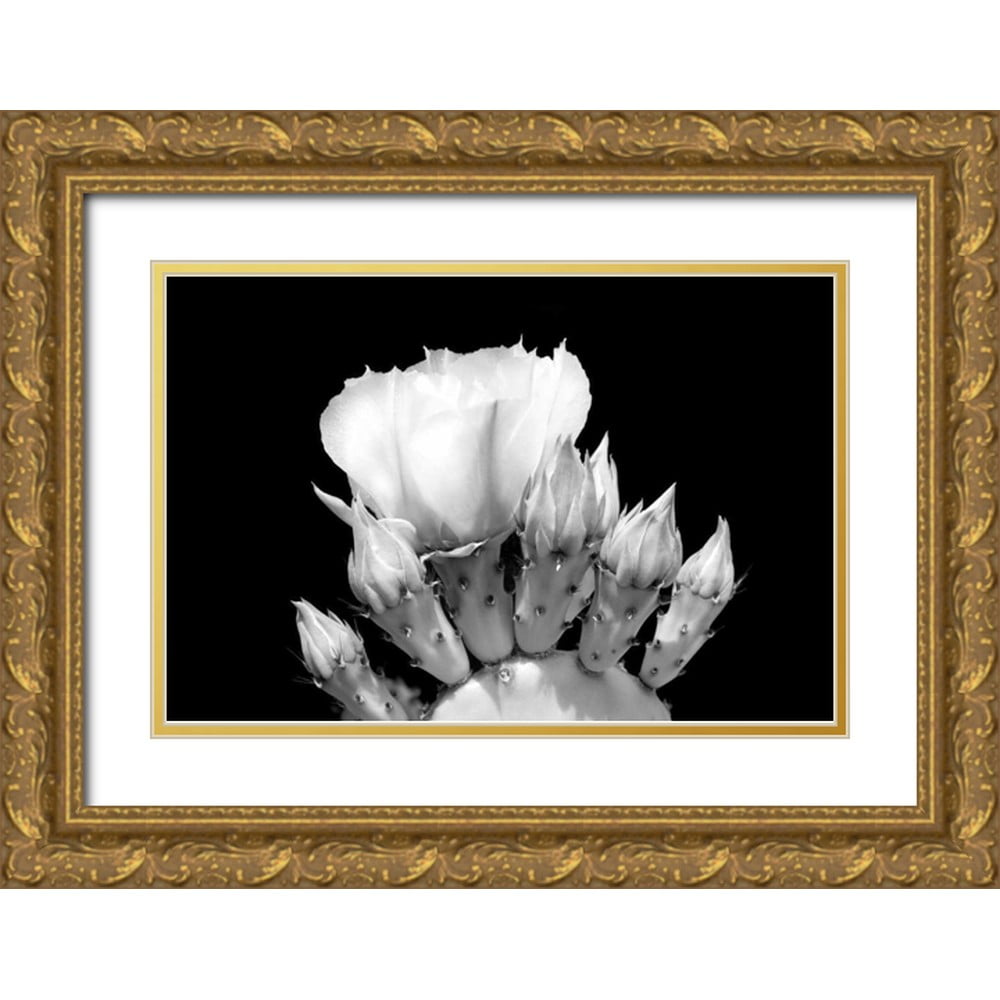 Taylor, Douglas 24x17 Gold Ornate Wood Framed with Double Matting ...