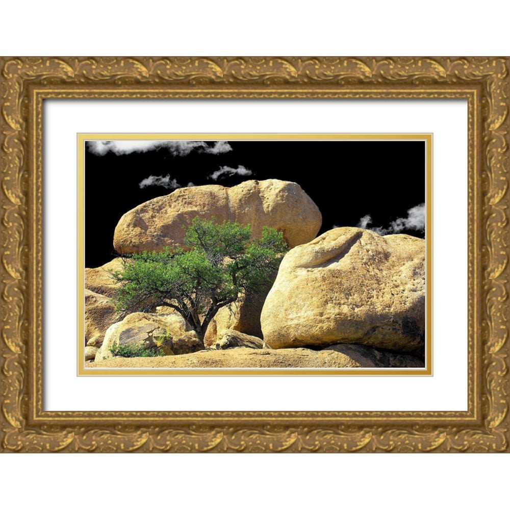 Taylor, Douglas 32x23 Gold Ornate Wood Framed with Double Matting ...