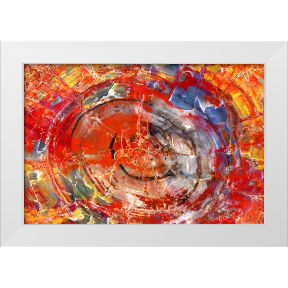 Taylor, Douglas 32x23 White Modern Wood Framed Museum Art Print Titled - Minerals in Wood ...