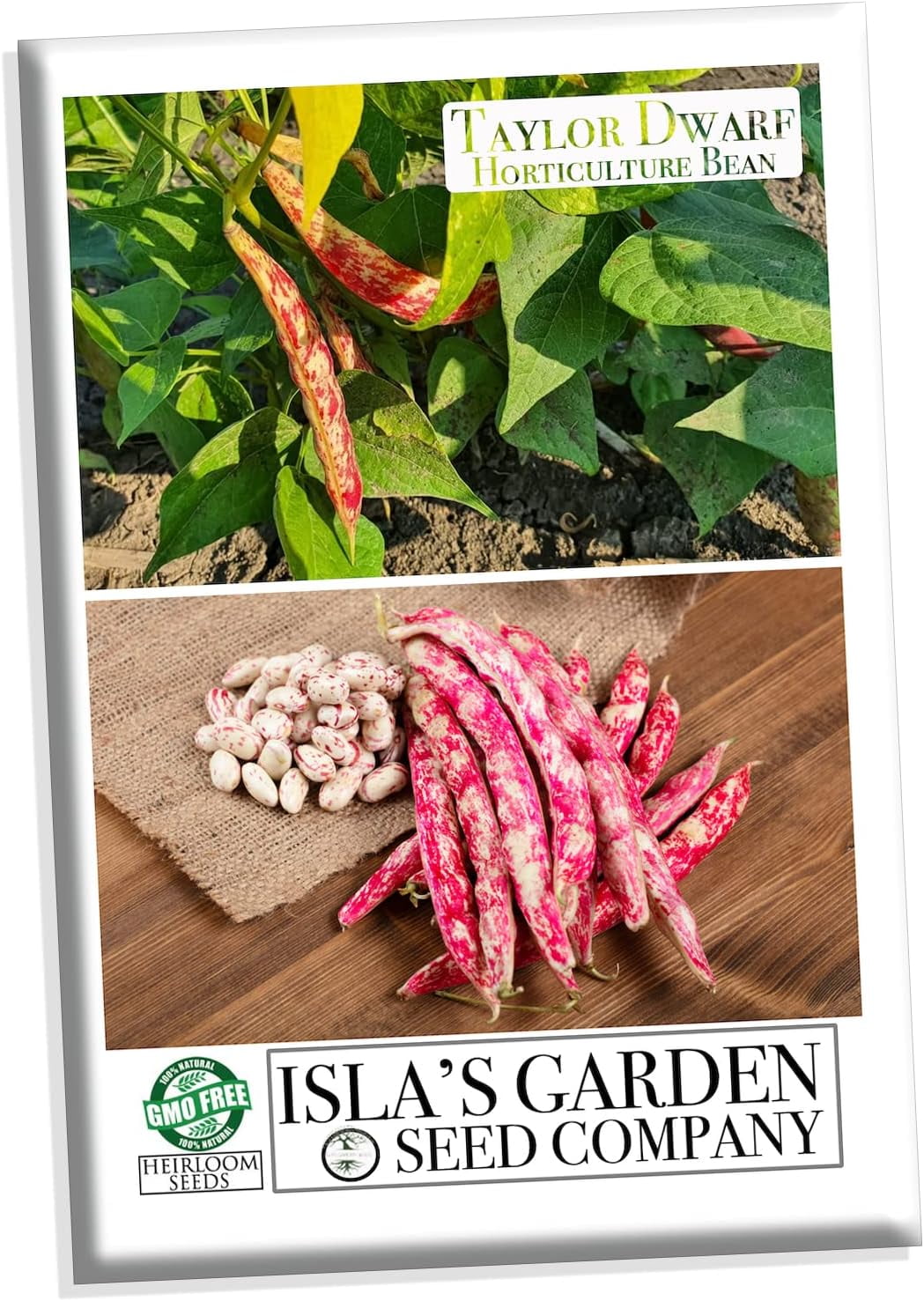 Taylor Dwarf Horticulture Bean Seeds, 50 Heirloom Seeds Per Packet, Non ...