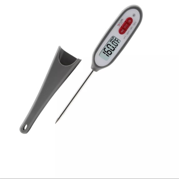 Taylor Instant-Read Digital Meat Thermometer – Compact Pen Design with ...