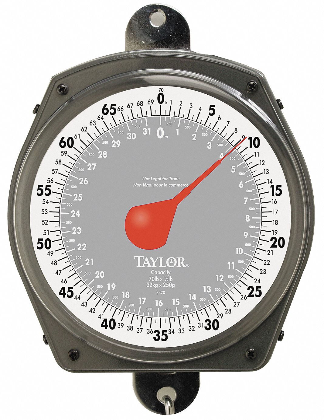 Taylor Hanging Scale,Dial,32kg/70 lb. Capacity 3470410410 - Walmart.com