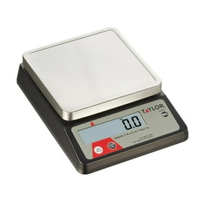 Taylor Digital Scales