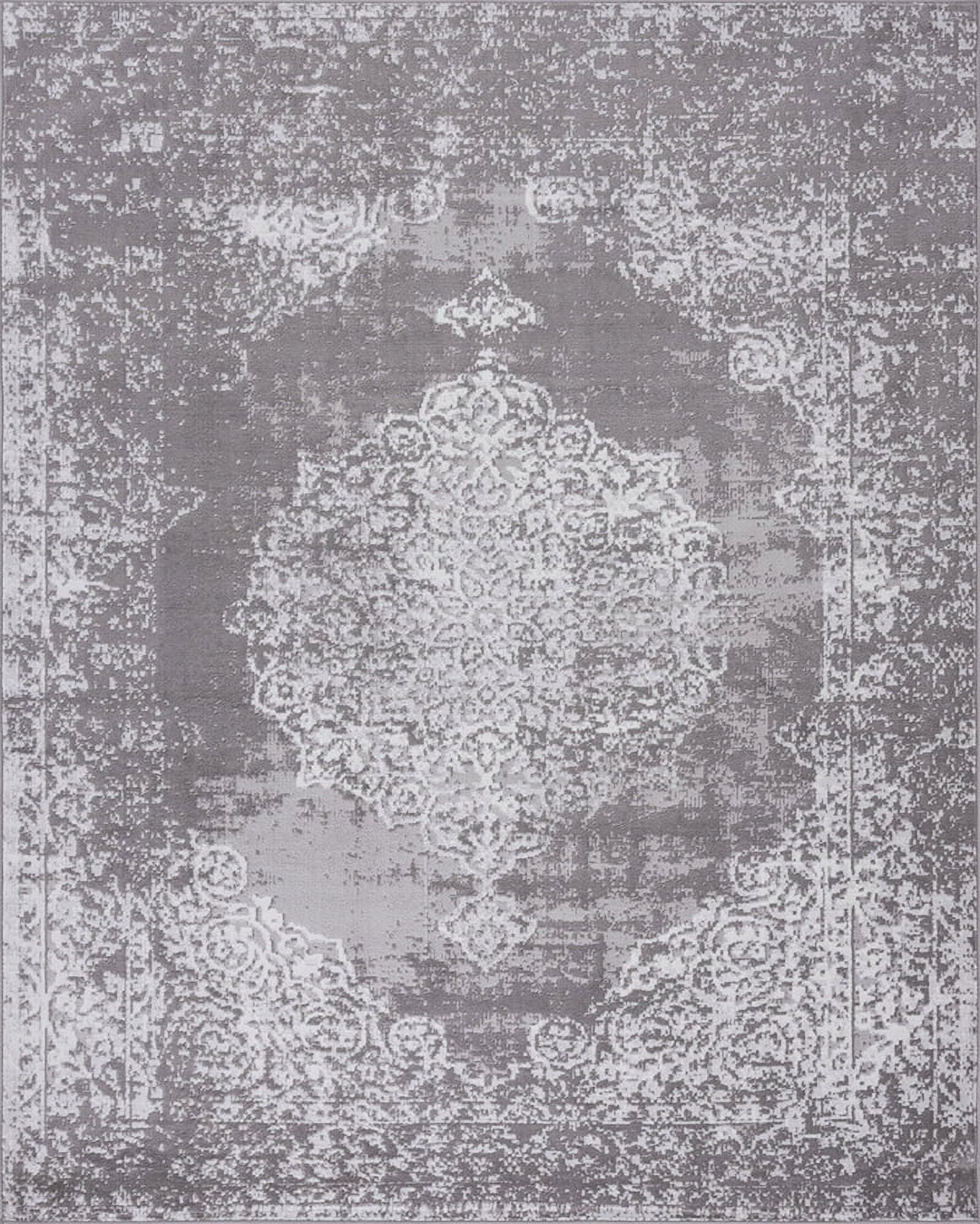 Tayse Nexus Area Rug NEX1100 Traditional Gray Faded Shaded 3' 11'' x 5 ...