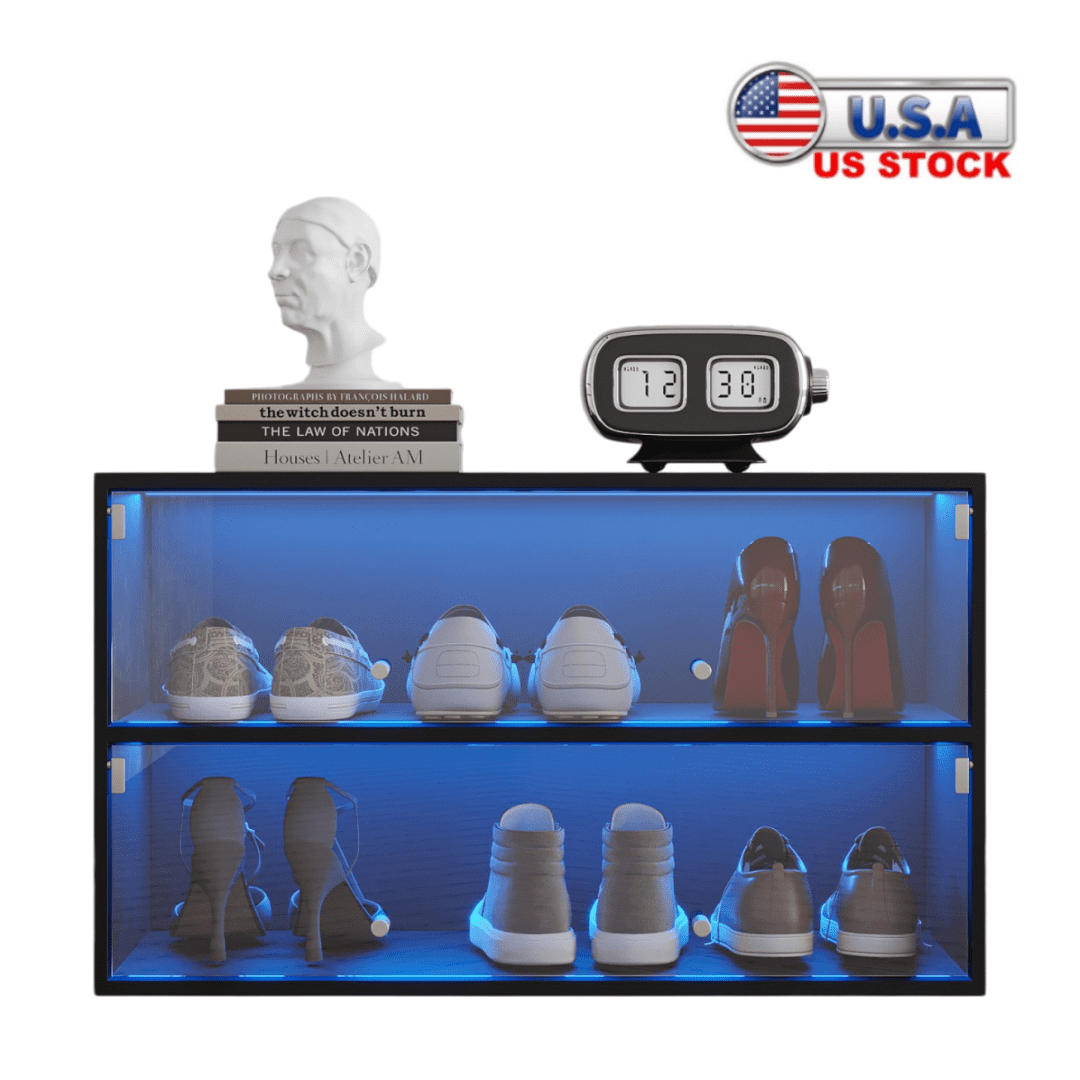 Tcbosik 2-Tier Shoe Case with Glass Door and LED Lights, Shoe Storage ...