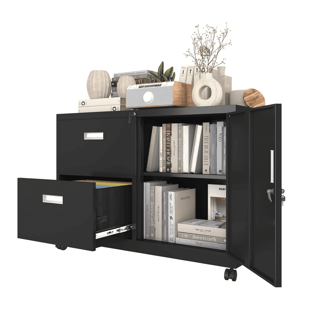 Tcbosik Metal Storage Cabinet with Adjustable Shelf and 2 Drawers ...