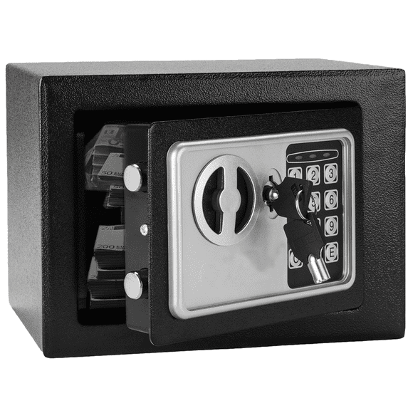 Mini Electronic Safe