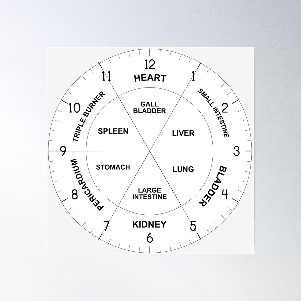 Tcm Traditional Chinese Body Clock Zang Fu Organ Hours Time - East ...