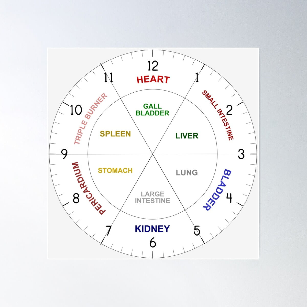 Tcm Traditional Chinese Body Organ Times Clock - Asian Hour Chart ...