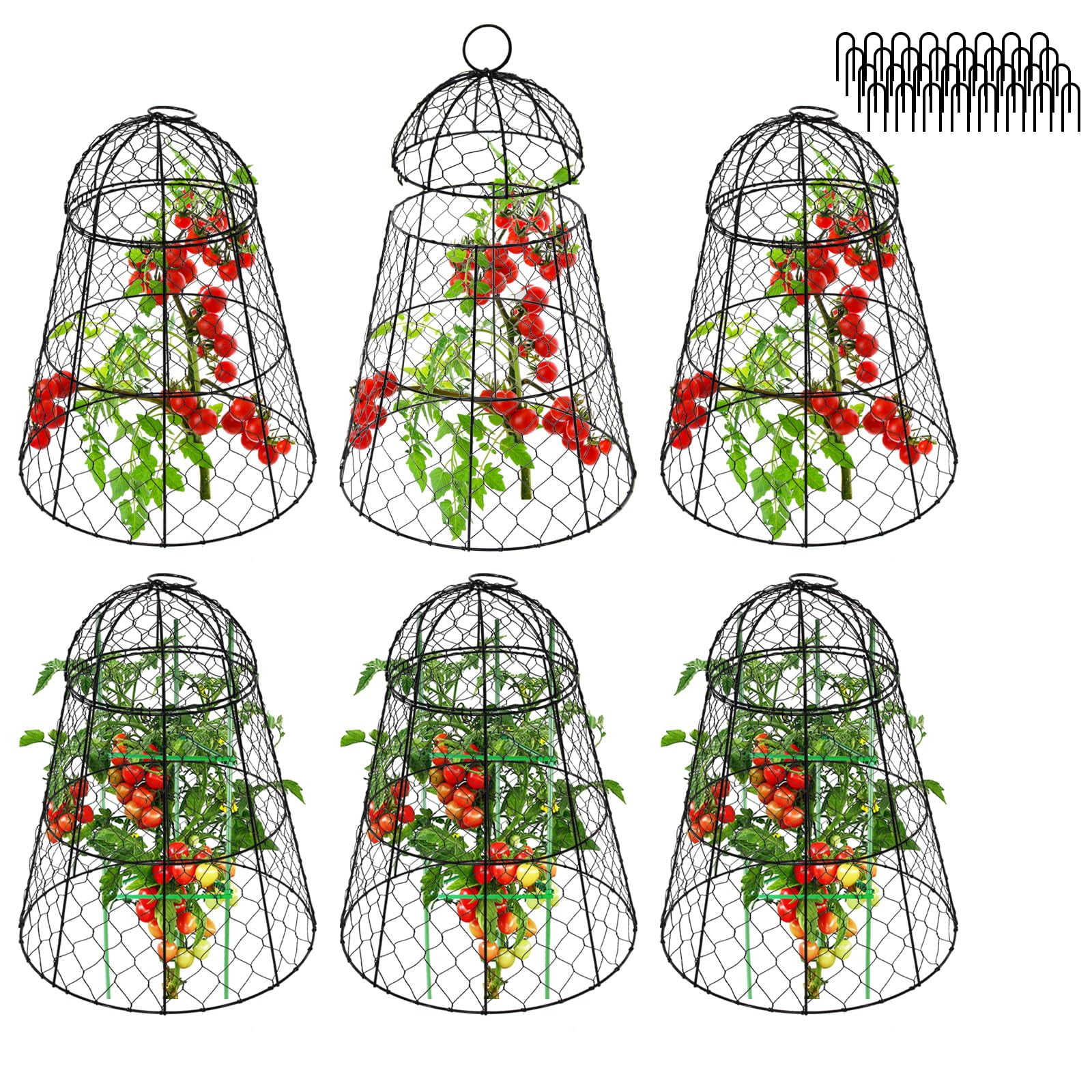 Tcomhk Garden Cloches for Plants - Set of 6 Chicken Wire Plant Cages and Plant Protectors from ...