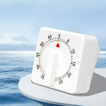 WEISIPU Kitchen Timer Egg Shaped Stainless Steel Cooking Timer ...