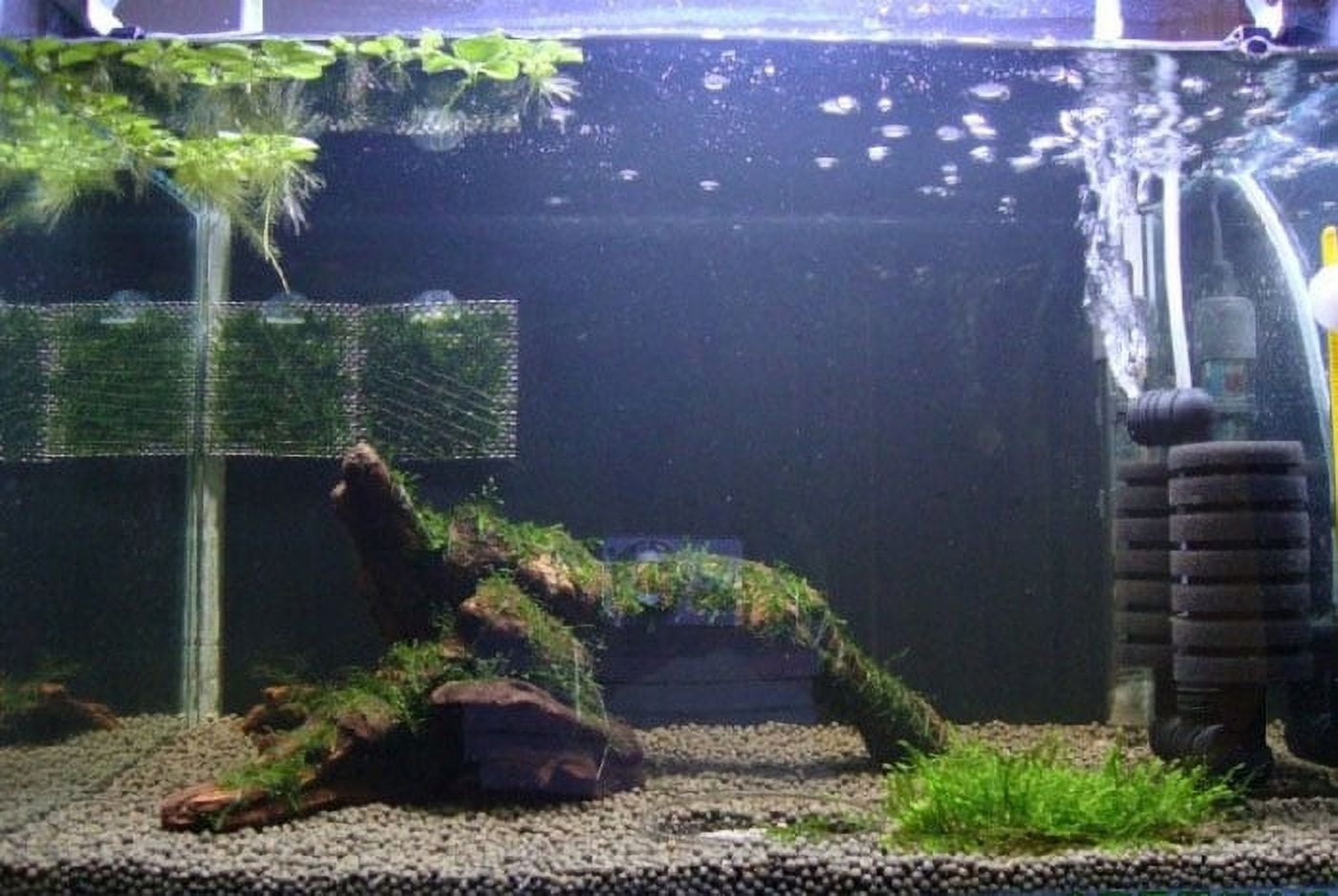 Tdoenbutw Clearance! Fish Tank Xy-2822 Aquarium Fry Tank Biochemical ...