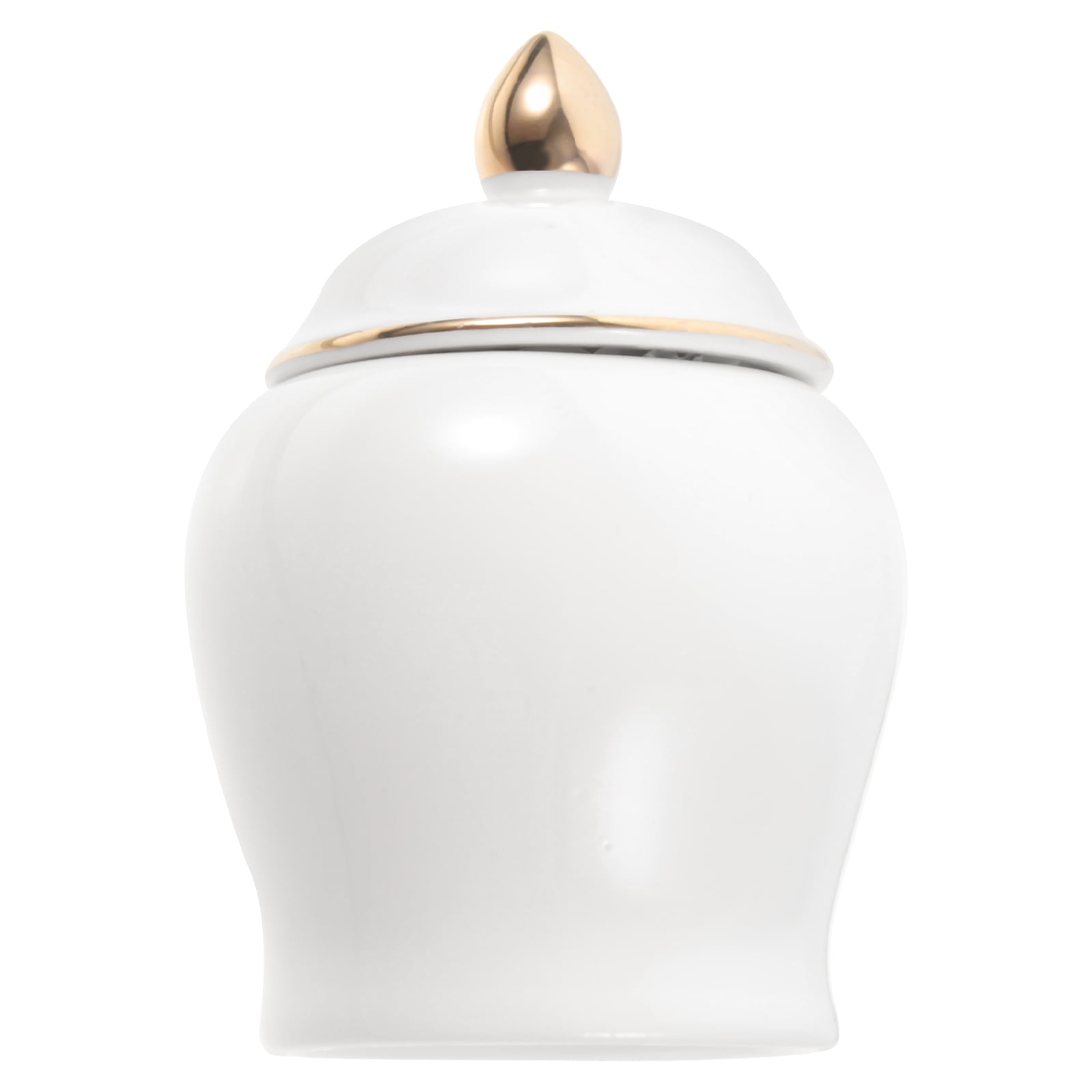 Tea Simple Canister Ceramic Vase Outline Gold Chinese Style Sugar ...