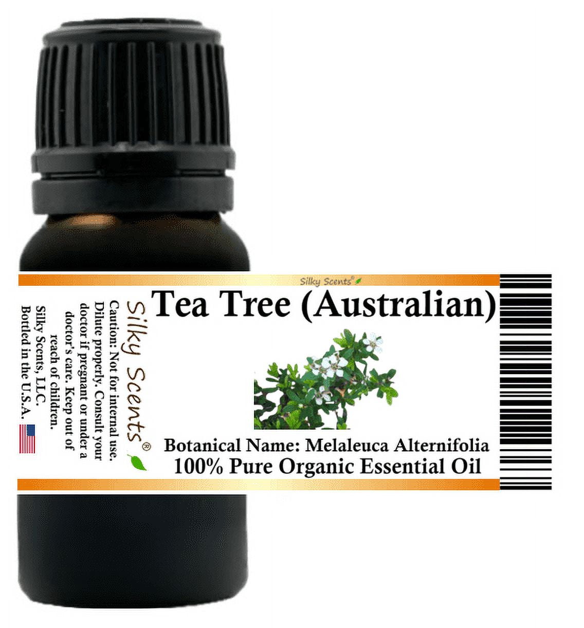 Tea Tree (Australian) Organic Essential Oil - Walmart.com