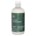 Paul Mitchell, Moisturizing Shampoo, 10.14 Oz, Lavender Mint - Walmart.com
