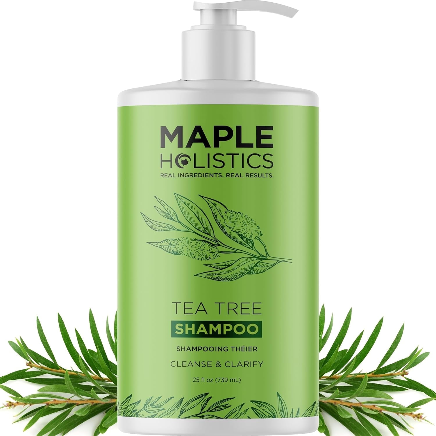 Maple Holistics Tea Tree Oil Shampoo Deep Cleansing for Oily Hair and ...