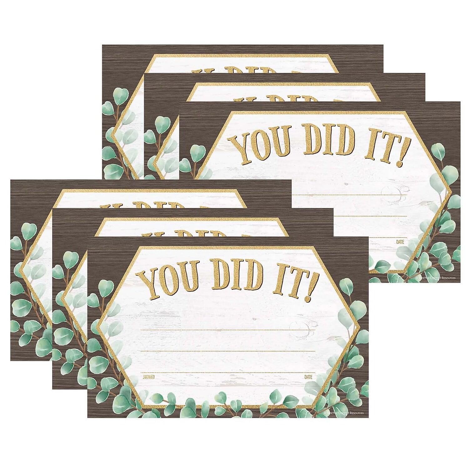 Teacher Created Resources Eucalyptus You Did It! Awards, 30 Per Pack, 6 ...