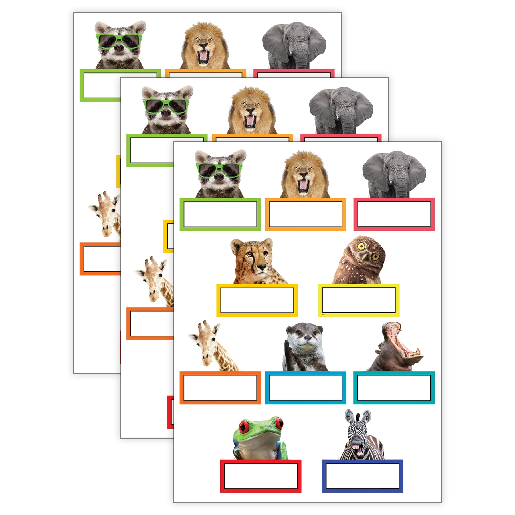 Teacher Created Resources Go Wild Animals Accents, 30 Per Pack, 3 Packs ...