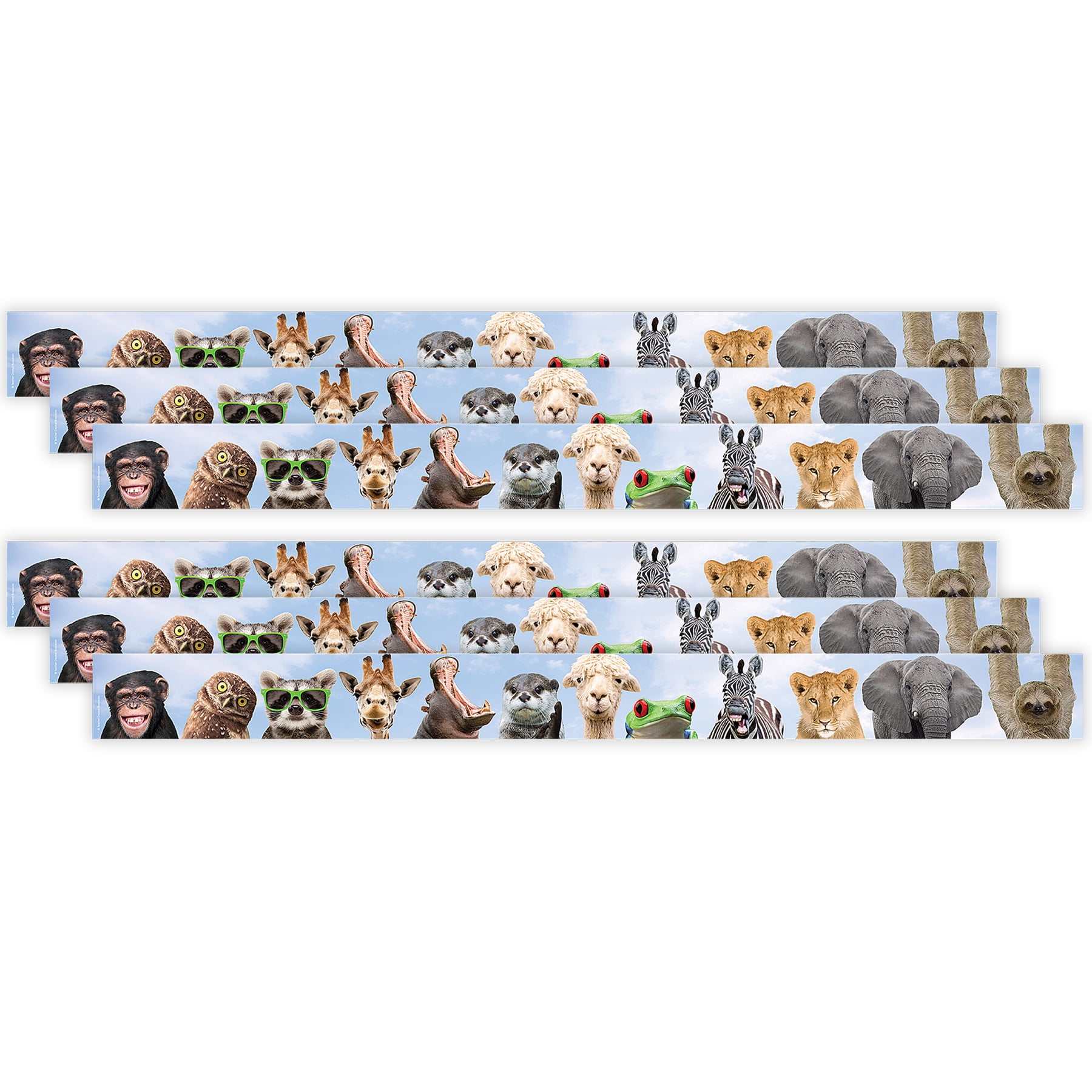Teacher Created Resources Go Wild Animals Straight Border Trim, 35 Feet ...