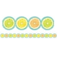 Teacher Created Resources TCR8490-6 Lemn Zest Citrus Slices Border Trim Die Cut - 6 per Pack ...