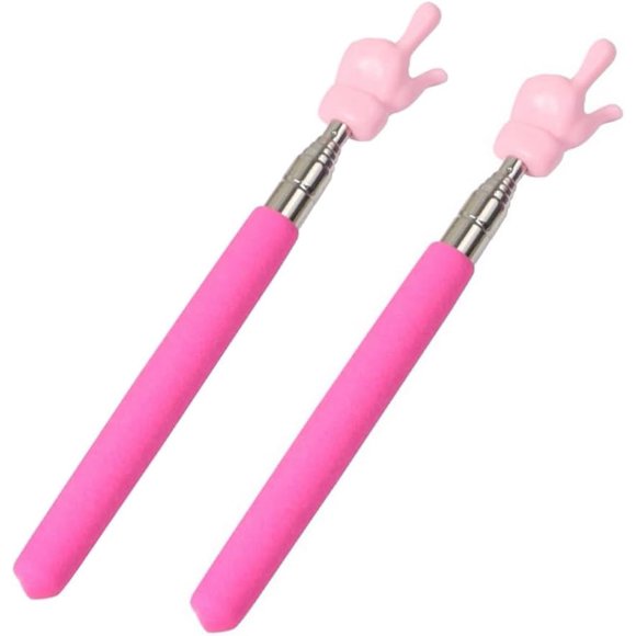 Finger Pointer Stick