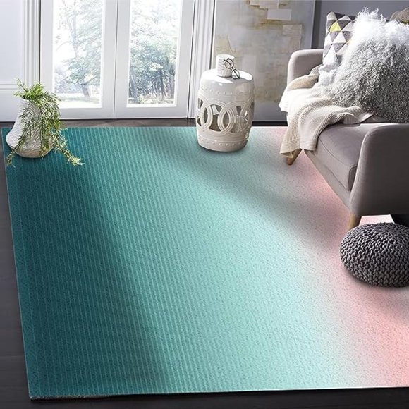 Pink Teal Rug