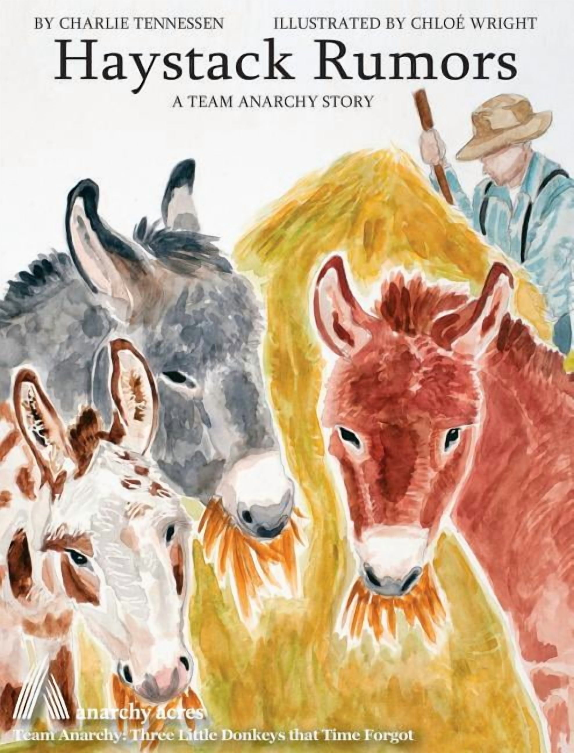 Team Anarchy Stories for Children Haystack Rumors, Book 3, (Hardcover ...