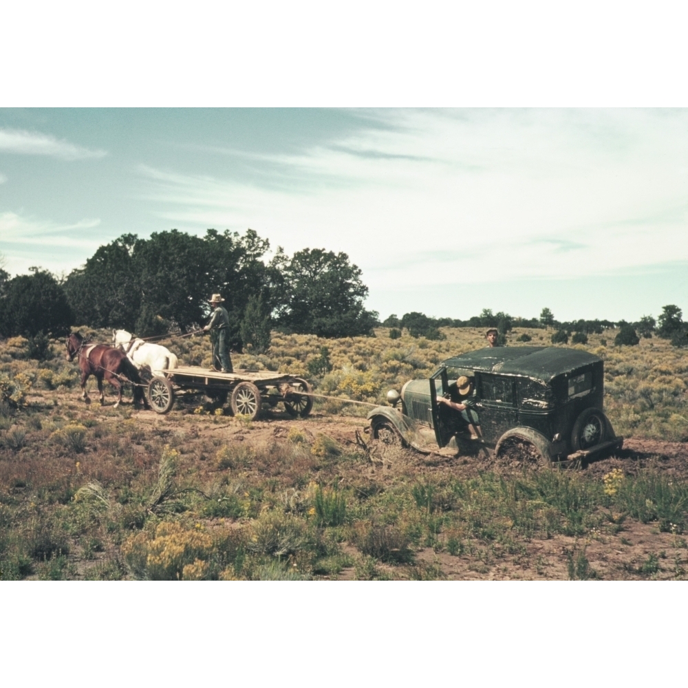 Team Of Horses Pulling A Car Out Of The Mud On An Unimproved Rural ...